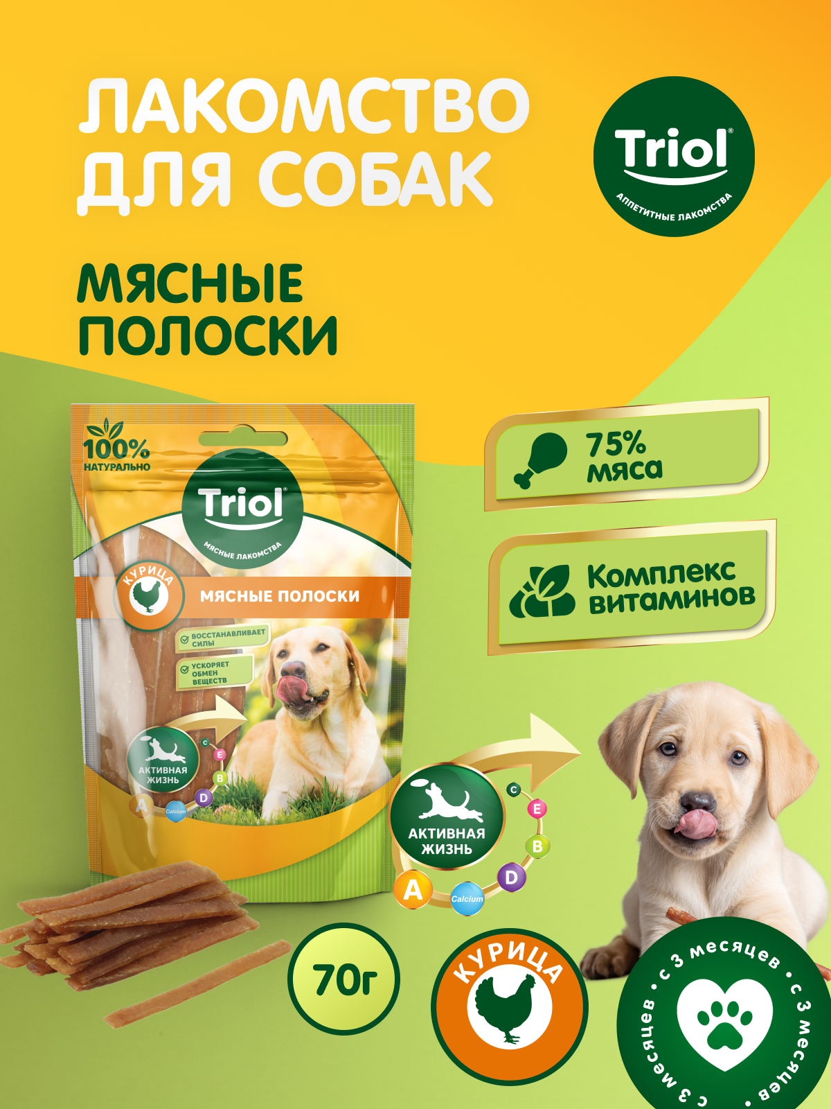 Лакомства для собак Triol «Мясные полоски из курицы» с витаминами, 70г