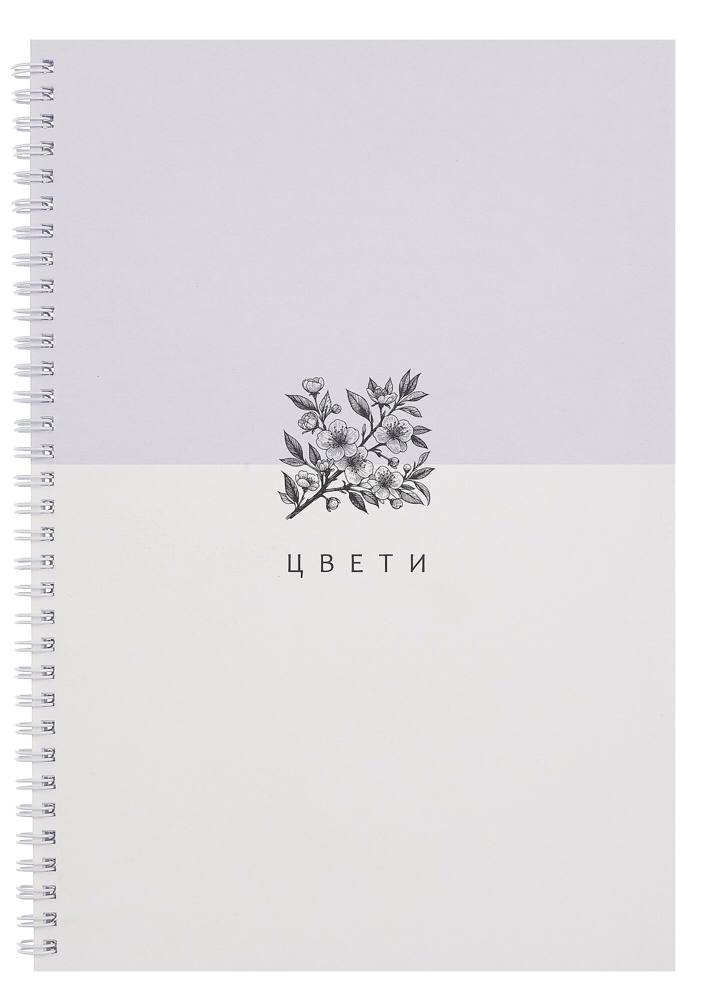 Тетрадь А4 80 листов в клетку "Shades", на спирали