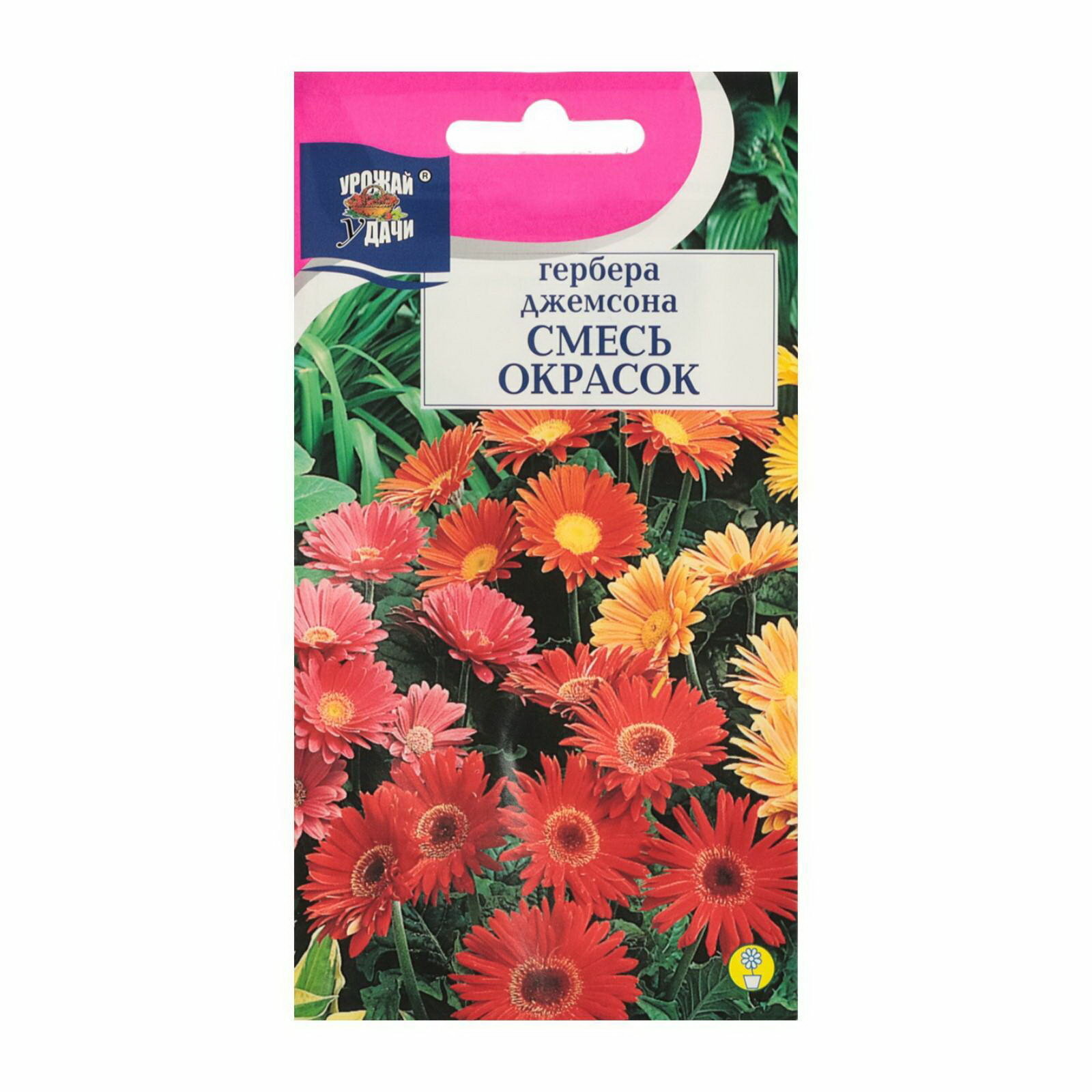 Семена цветов Гербера "Джемсона", 0.02 г, место выращивания: открытый грунт