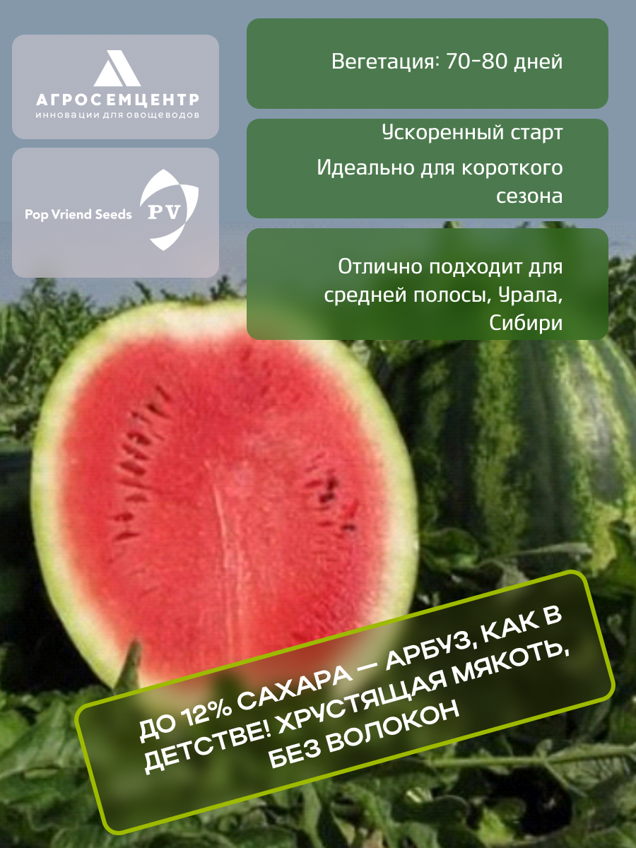 Семена арбуза Pop Vriend Seeds "Продюсер", 500 г