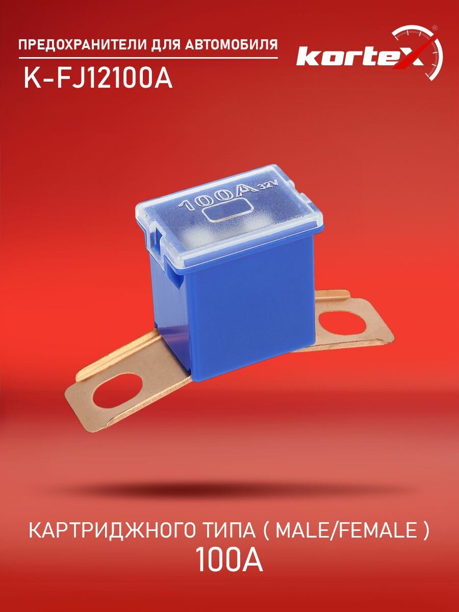 Предохранитель картриджного типа ( male/female ) 100A