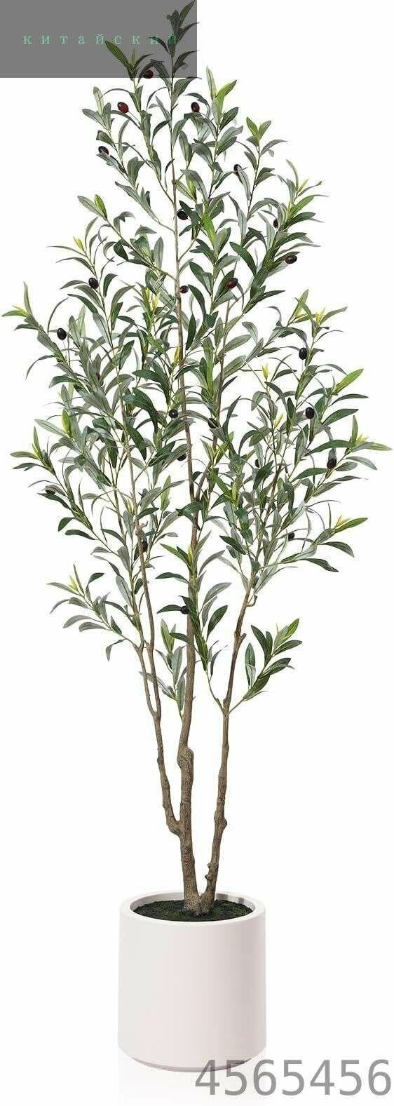 Искусственные цветы/ Искусственное оливковое дерево 180 см5453453