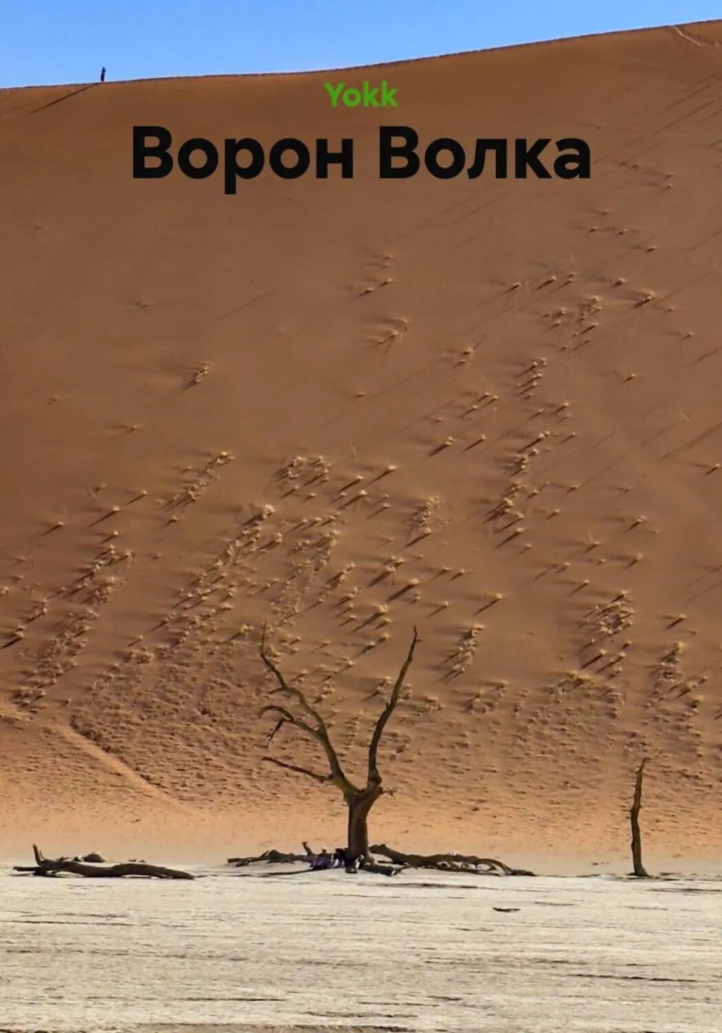 Ворон Волка [Цифровая книга]