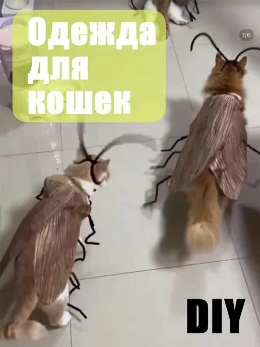 Костюм кошки, собаки, забавный костюм таракана на Хэллоуин