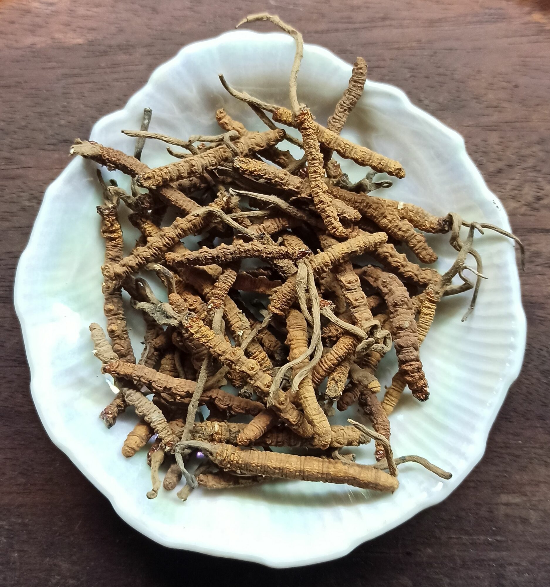 Кордицепс Ярсагумба Синенсис. Натуральный сушеный гриб. Гималаи Непал. Размер A. Сбор 2025 года. 10 грамм.