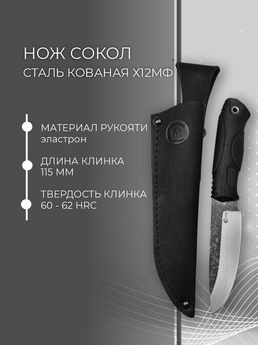 Нож Сокол, кованая сталь Х12МФ, карельская берёза (ИП Сёмин)