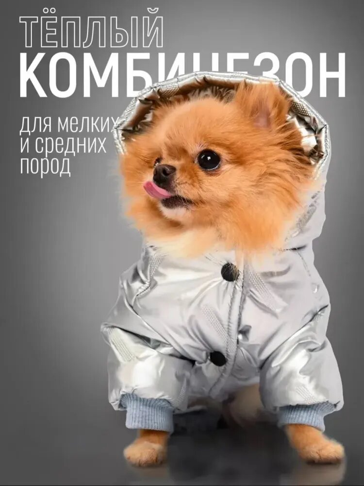 Демисезонный комбинезон-куртка для мелких и средних собак водоотталкивающий с флисом, капюшон, размеры S (для йорков, шпицев, мопсов, чихуахуа)