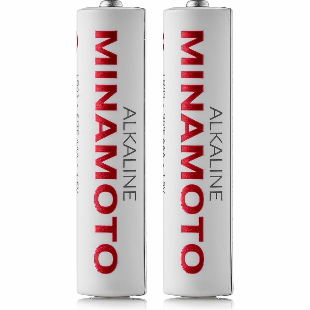 Батарейка MINAMOTO 405