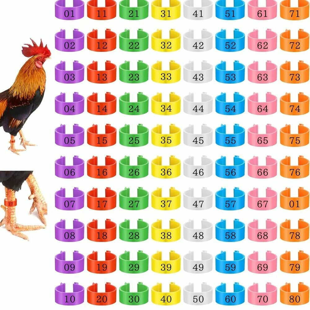 Маркировочное кольцо для птиц с открывающейся застежкой, лазерная гравировка, несколько цветов