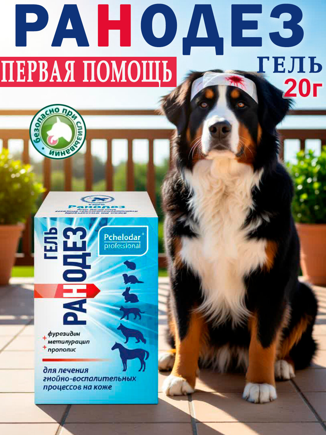 Ранодез Гель (20г) применяется для профилактики и лечения гнойно-воспалительных процессов кожи -1 шт.