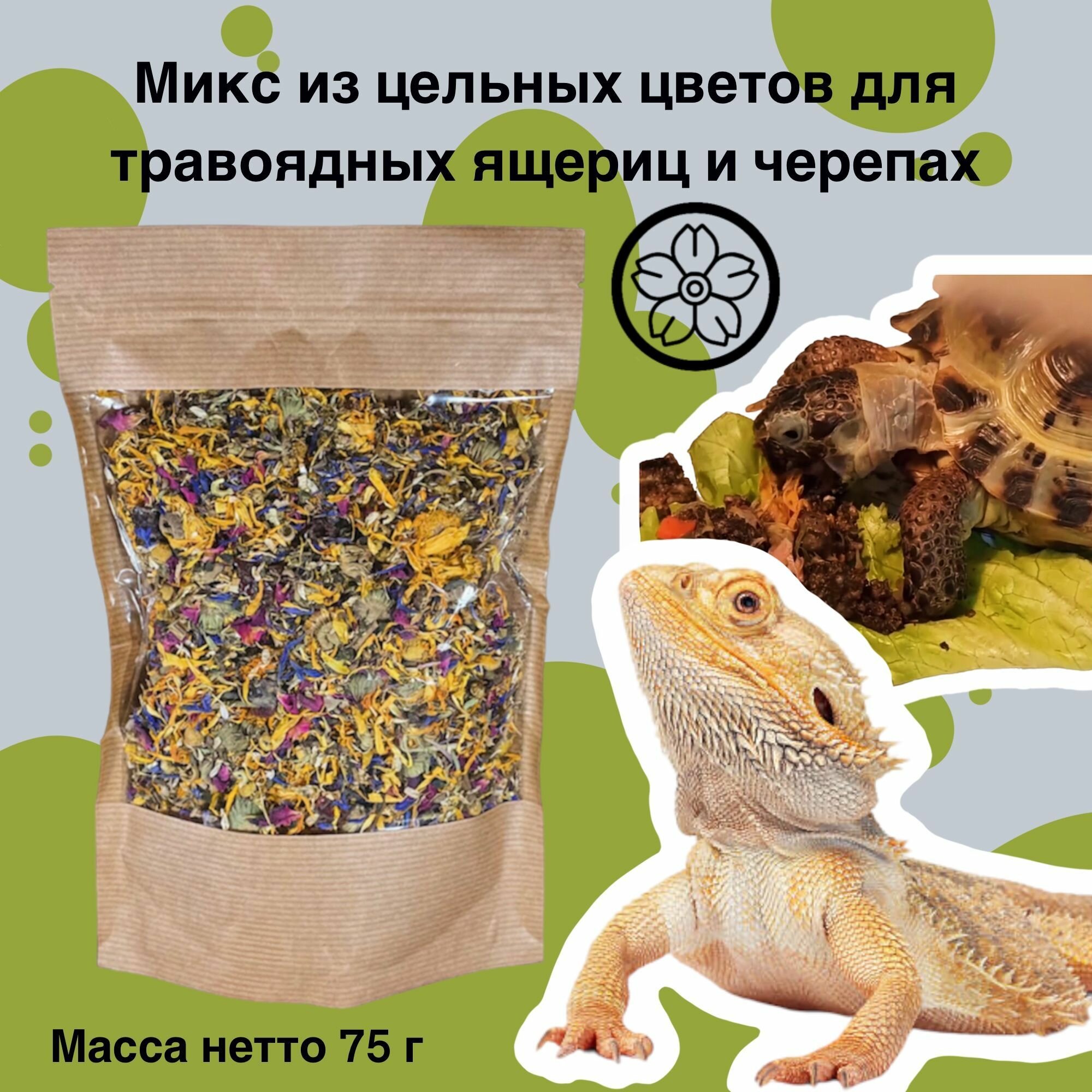 Корм сухой для травоядных ящериц и черепах / еда для ящериц и агам / Рептодиет