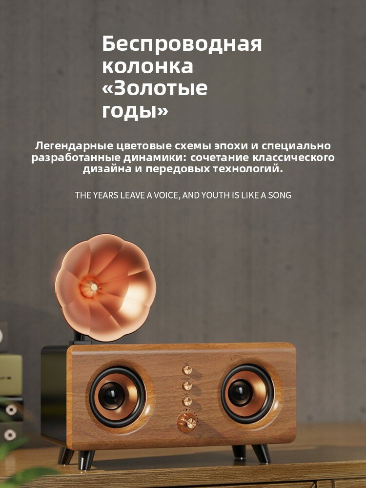 Портативная акустика с глубоким басом - беспроводная bluetooth колонка, радио, поддержка флешки и карты памяти для улицы