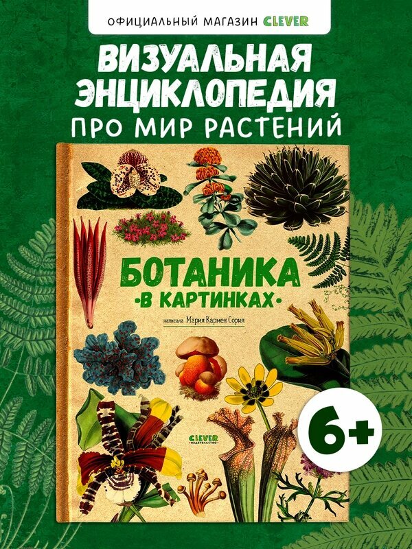 Удивительные энциклопедии. Ботаника в картинках