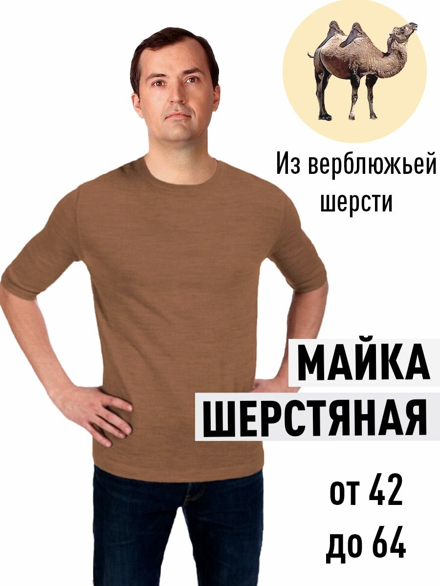 Темрофутболка Базовая коллекция
