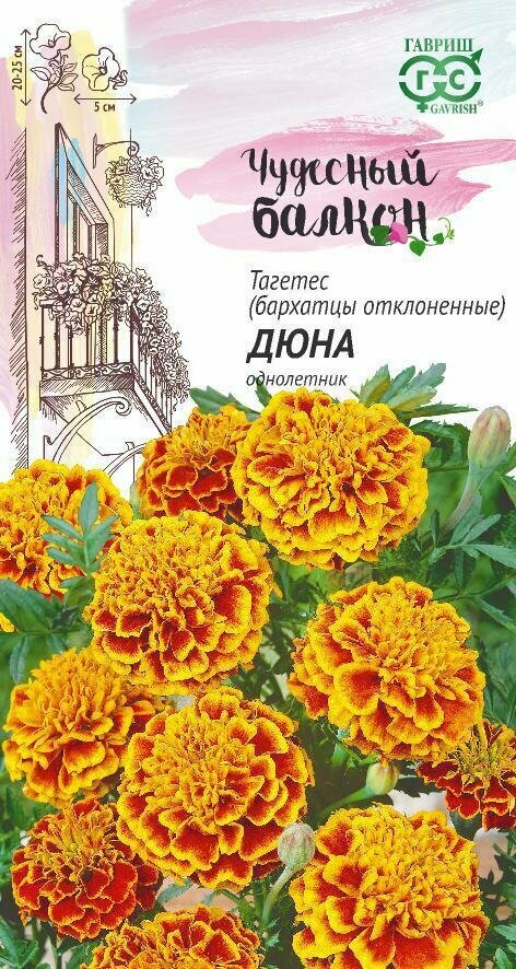 Семена цветов Гавриш Чудесный балкон бархатцы отклоненные Дюна, для дачи, сада, огорода и на рассаду