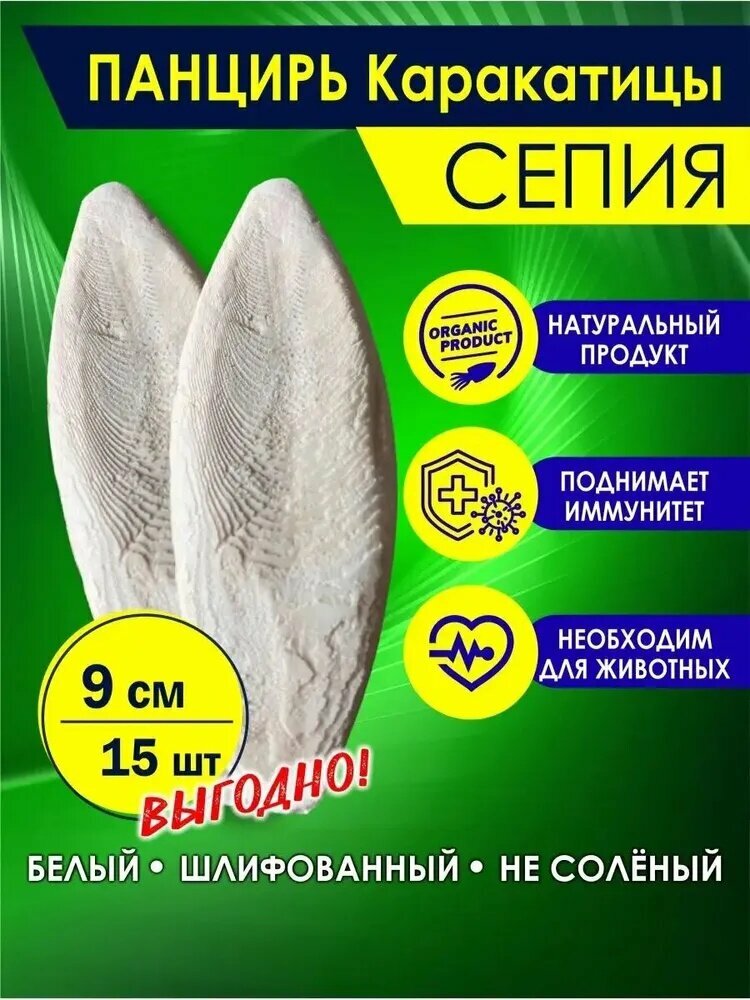 Палочки из зубов каракатицы, попугая, птицы, улитки, 9см, 15 упаковка