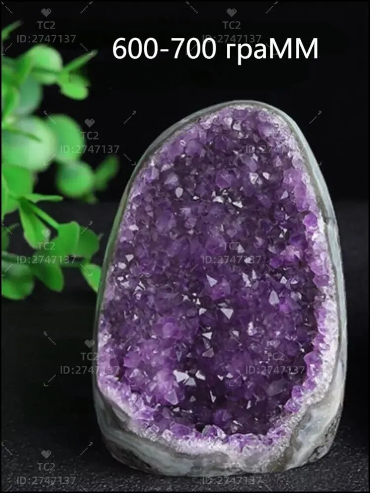 Эксклюзивная натуральная жеода аметиста