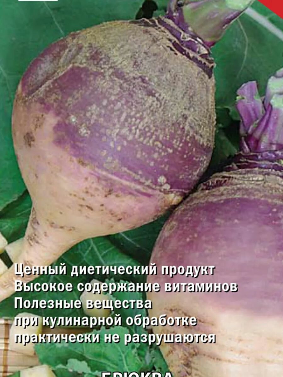 Брюква Гера 0,5 г, Семена Поиск