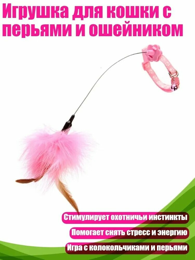 Игрушка для кошки с перьями и ошейником, С Воротником