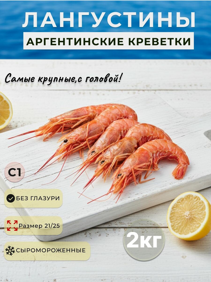 Креветка аргентинская (лангустины) L1