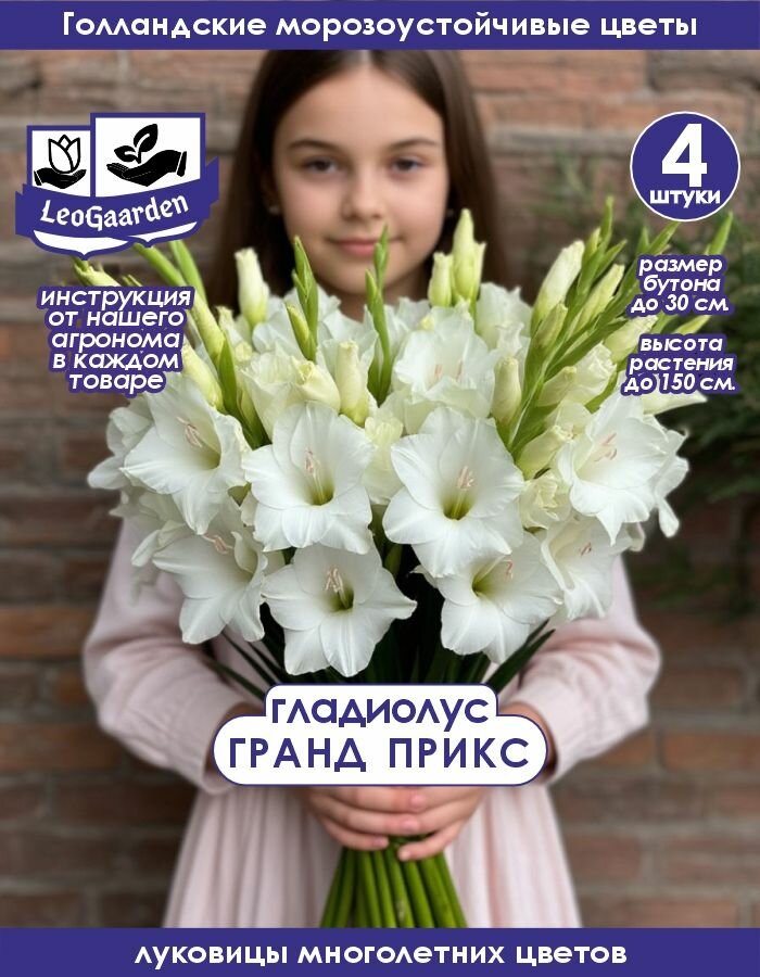 Гладиолус Луковица, Гранд прикс крупные, 4шт