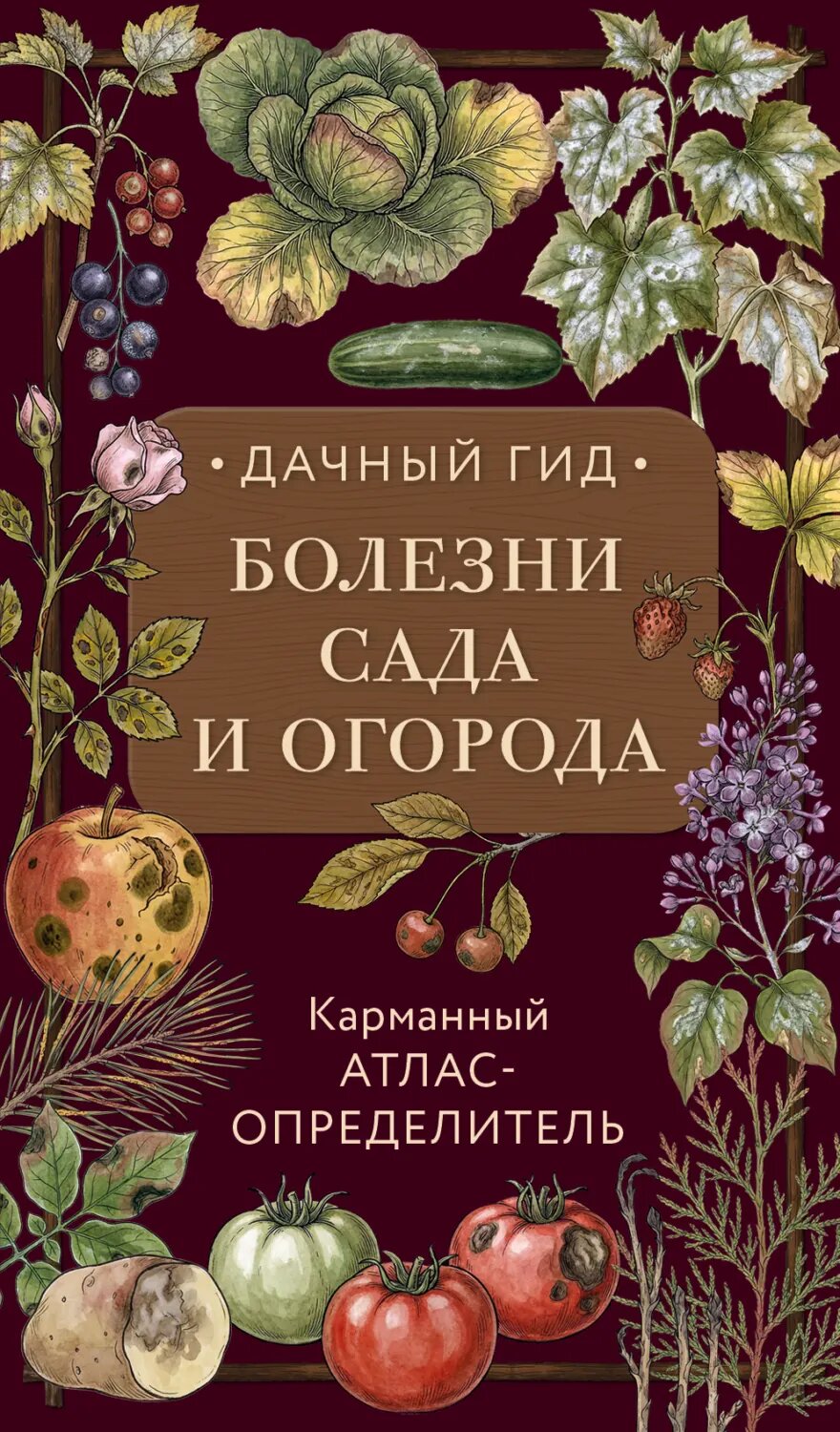 Болезни сада и огорода [Цифровая книга]