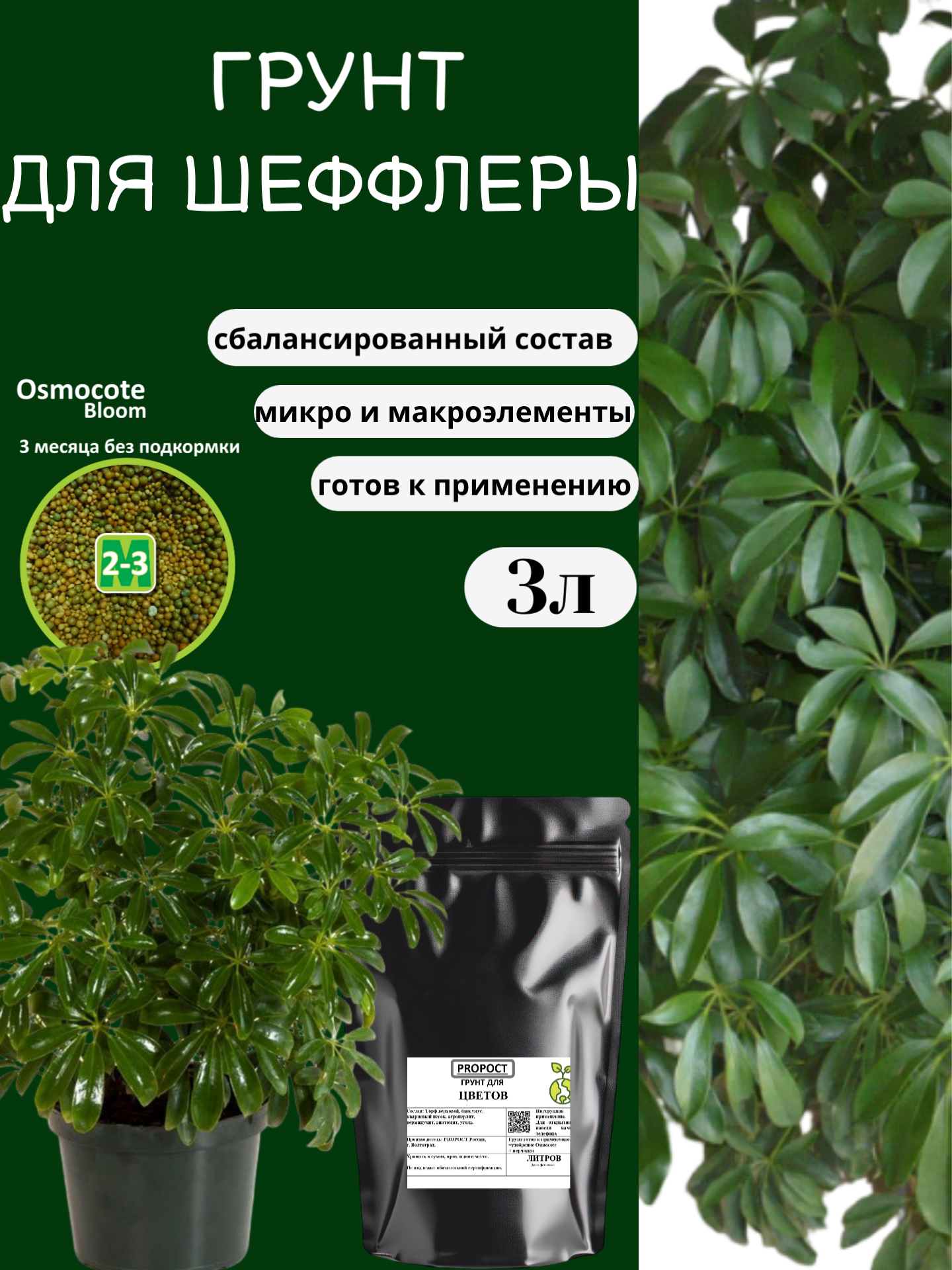 Грунт для шеффлеры 3 л для отличного роста и развития растения
