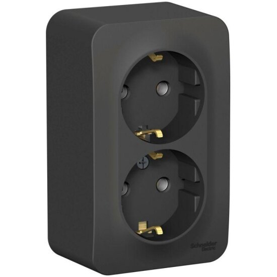 Розетка Systeme Electric (schneider Electric) SCHNEIDER ELECTRIC BLANCA двойная с заземлением без шторок, 16А, 250В, Антрацит, BLNRA010206