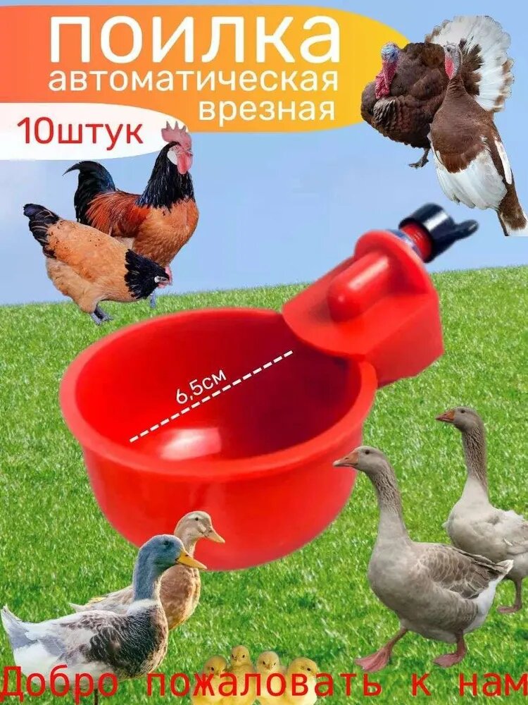 Поилка для кур чашечная 10 штук