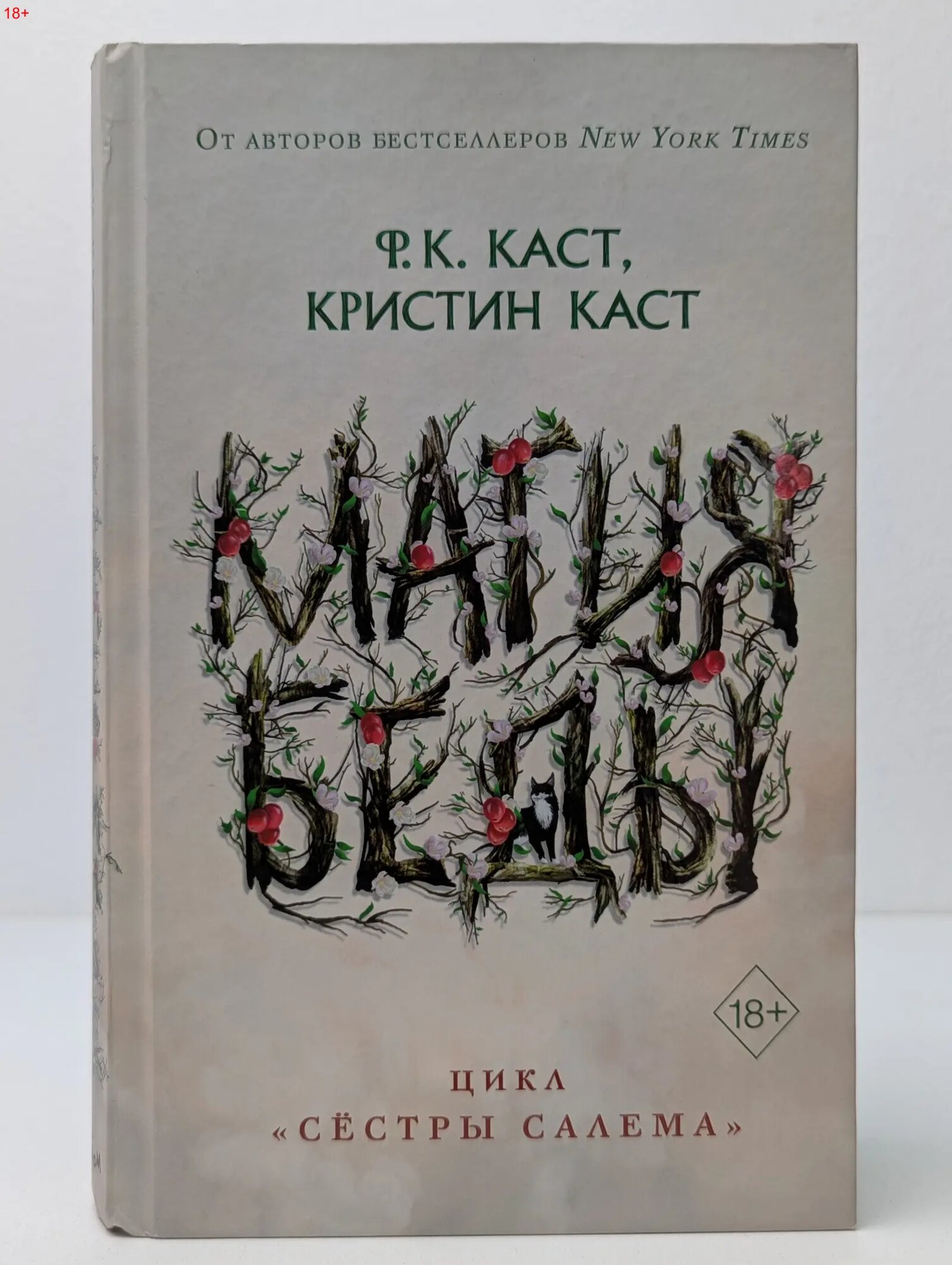 Young Adult. Сестры Салема. Магия беды Каст Филис Кристина, Каст Кристин 2022