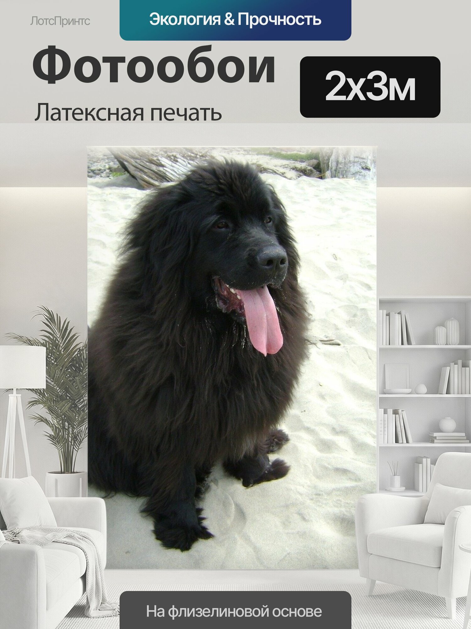 Фотообои моющиеся ударопрочные "Ньюфаундленд, снег, собака" 200x300 см. латексная печать
