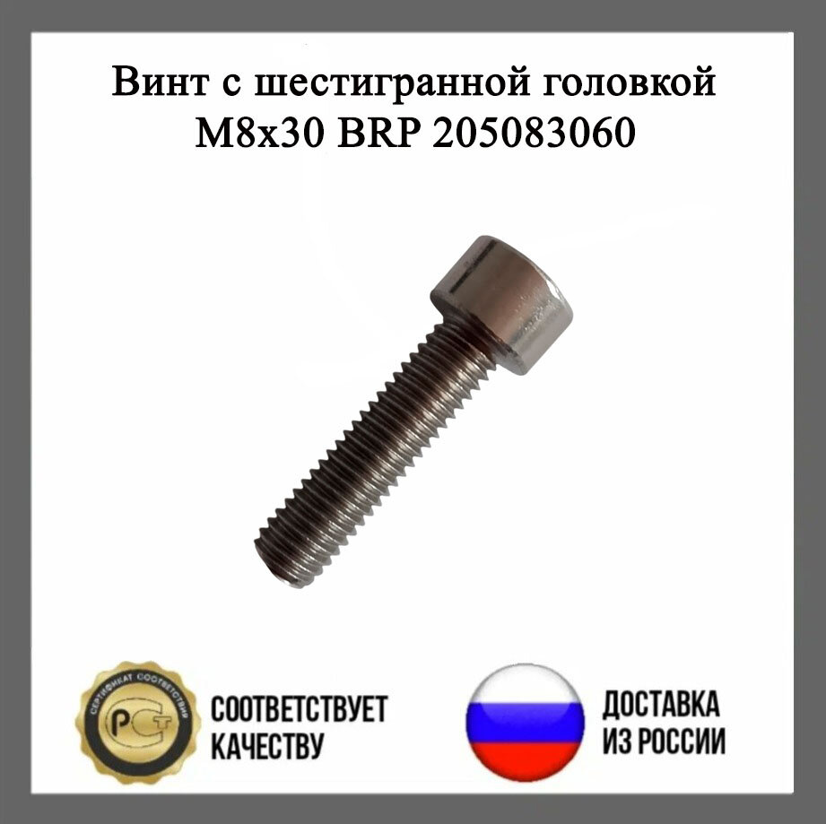 Винт с шестигранной головкой M8x30 BRP 205083060