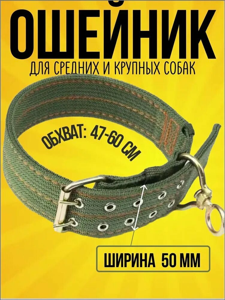 Ошейник