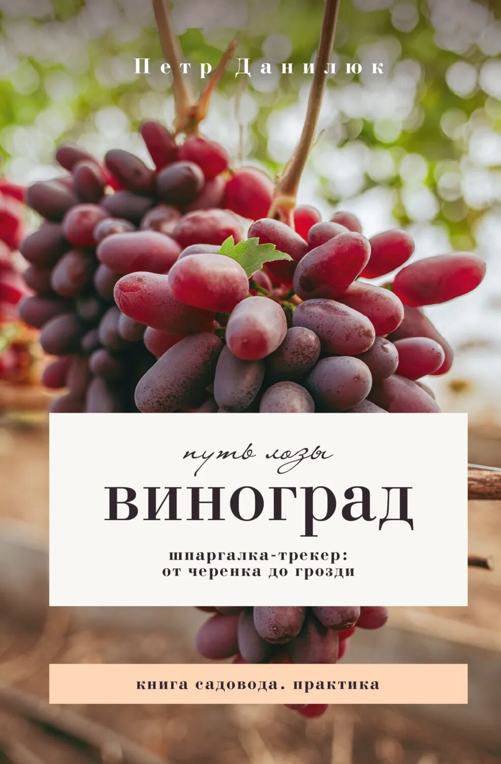 Виноград. Путь лозы. Шпаргалка-трекер: от черенка до грозди [Цифровая книга]
