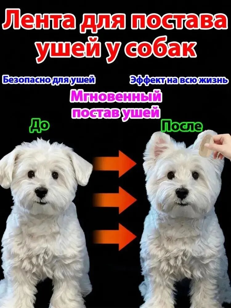 Корректирующие собачьи наклейки для ушей: гипоаллергенные фиксаторы для щенков и взрослых собак, чистые и натуральные, 2 шт./упаковка (уход за ушами)