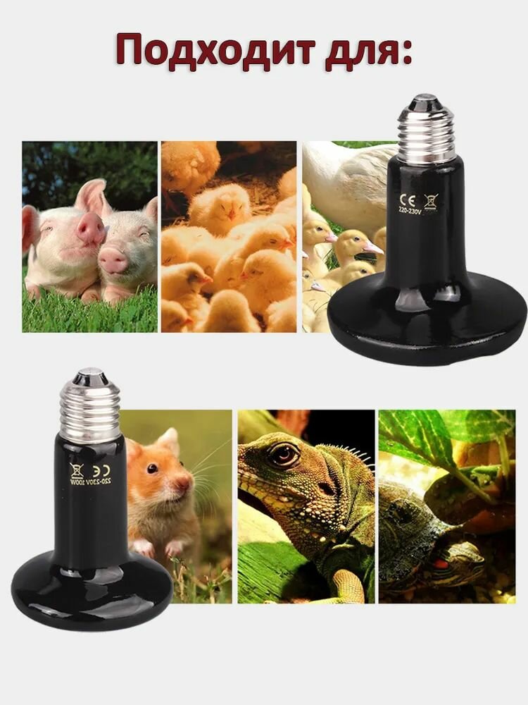 Керамическая лампочка для обогрева 200 Вт & Инфракрасная нагревательная лампа