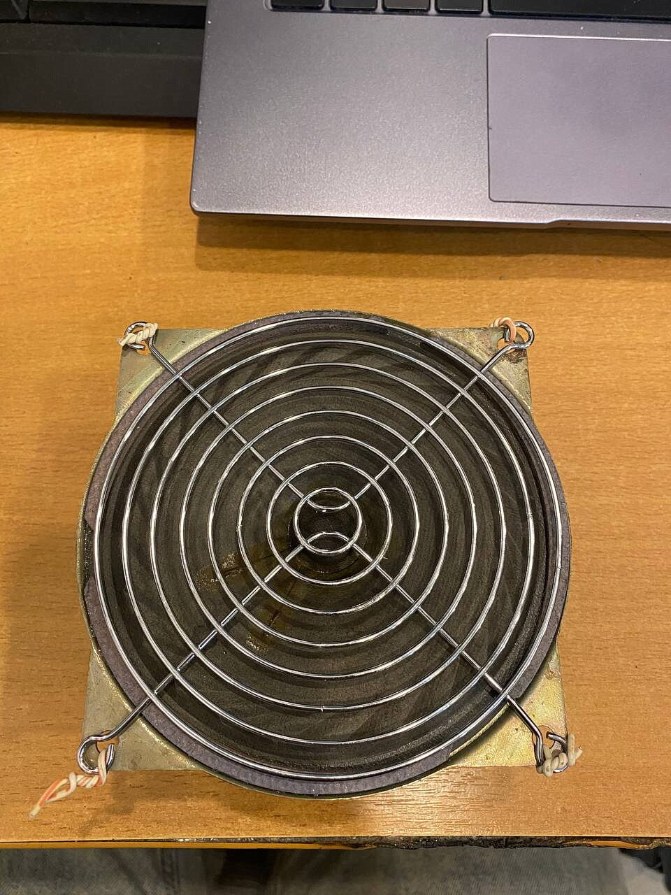 Динамик 5ГДШ-5 (1шт)