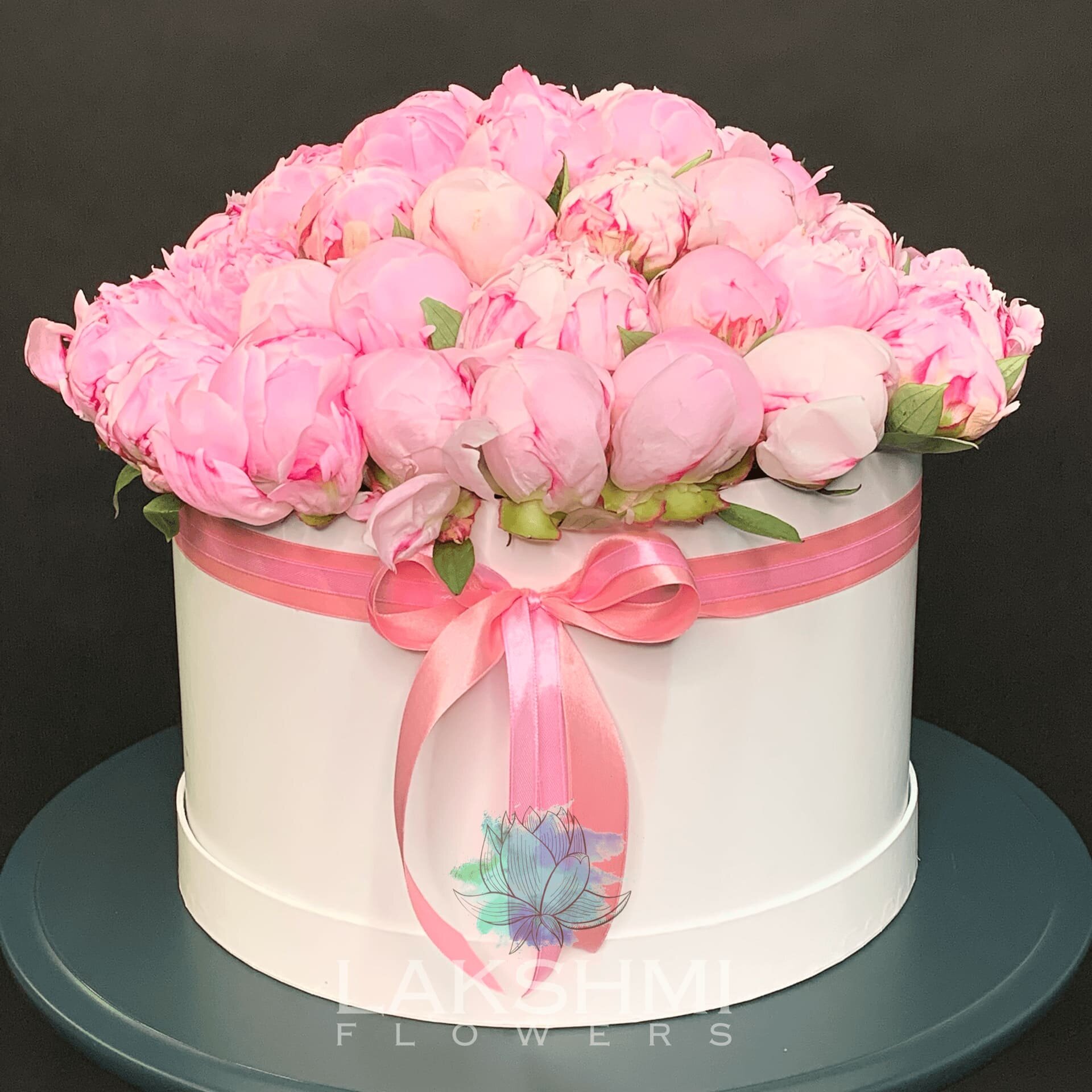 51 пион / 51 розовый пион сорта «Сара Бернар в шляпной коробке