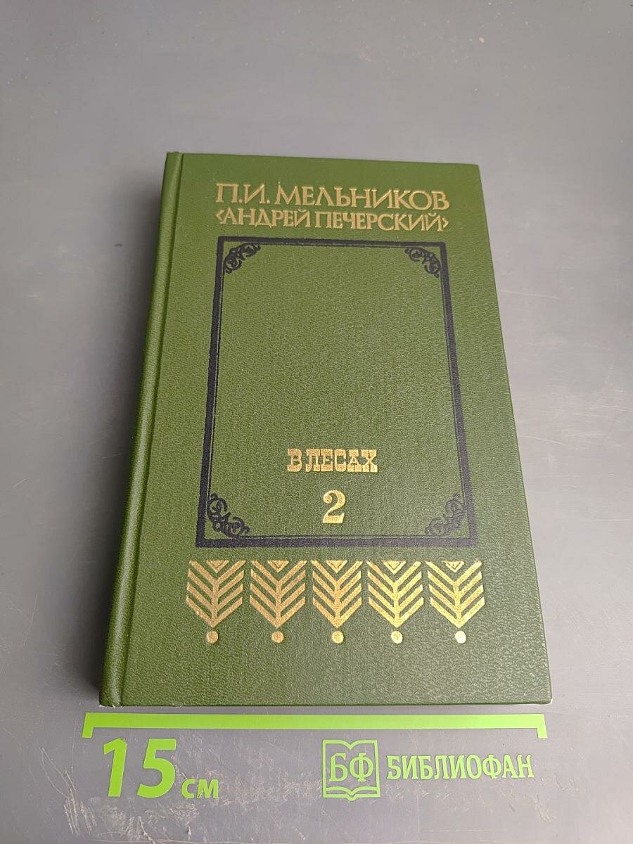 В лесах. Книга вторая