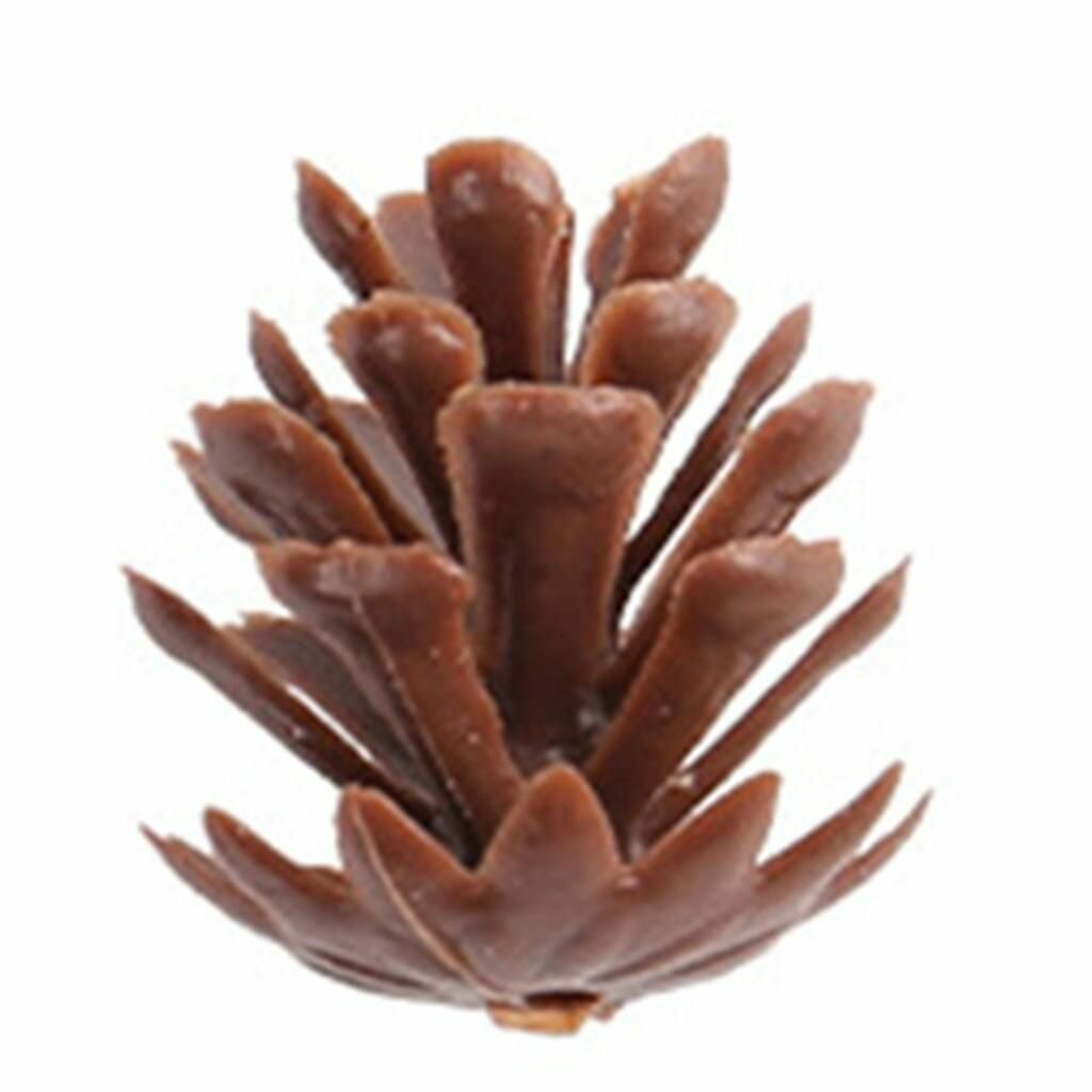 100 сосновых шишек для праздничного декора, - сосновые цветы длиной 2 см