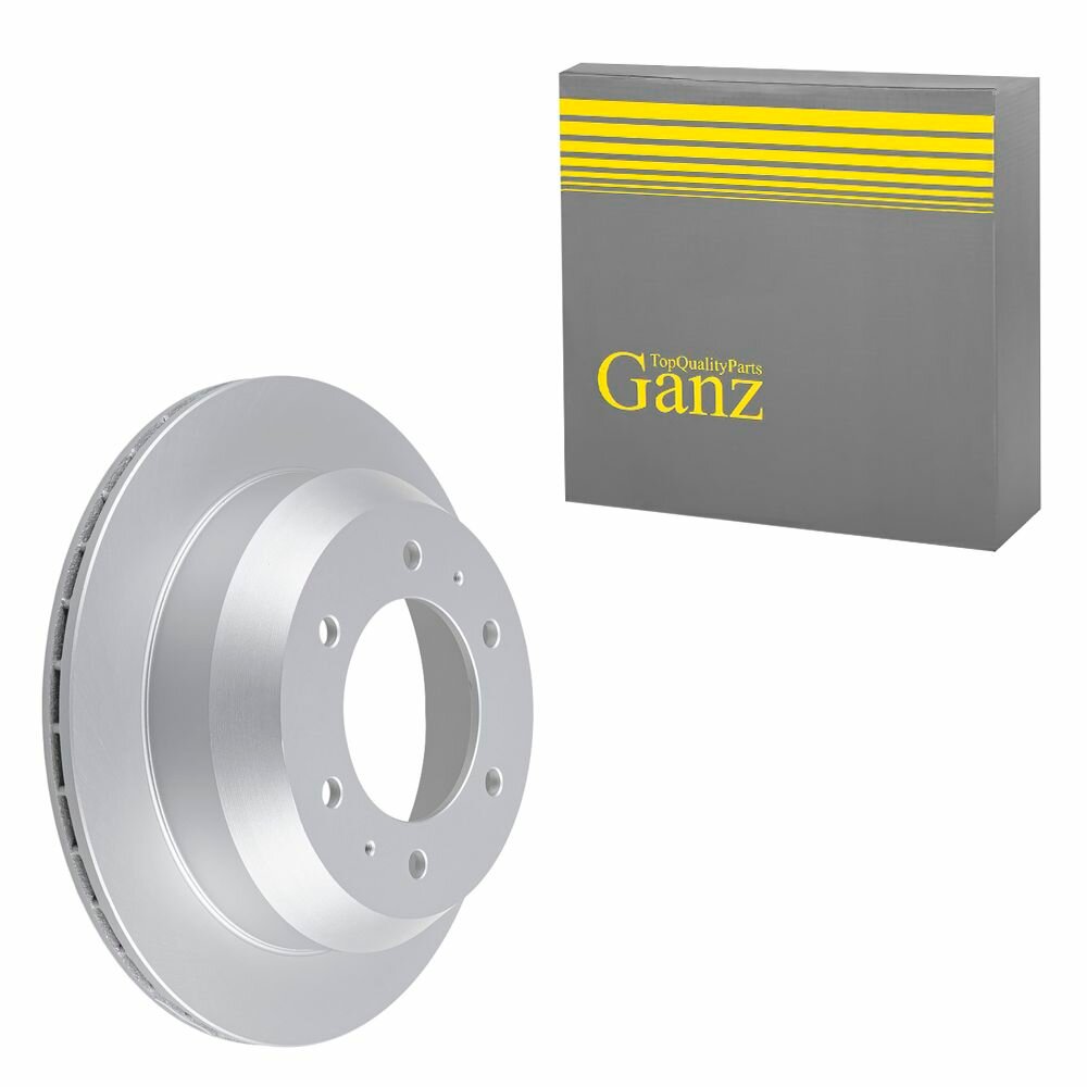 GANZ Диски тормозные задний с покрытием для SAFE, HOVER, HOVER H5, HOVER H3 NEW, HOVER H3 GIJ10309