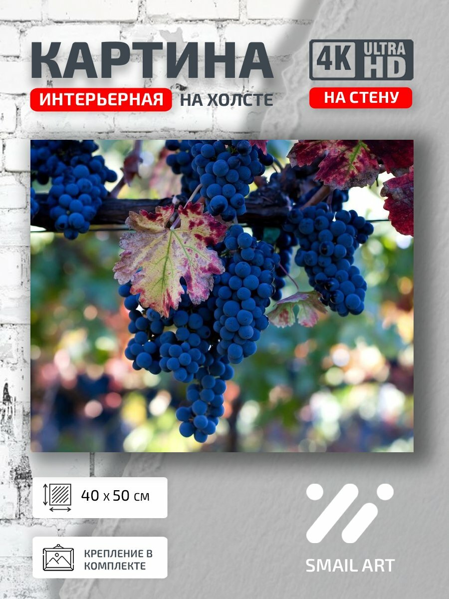 Картина на холсте интерьерная 40 на 50 на стену Виноград Landscape для кафе пейзаж интерьер