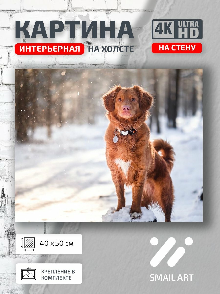 Картина на холсте интерьерная 40 на 50 на стену Снег Landscape для кабинета пейзаж интерьер