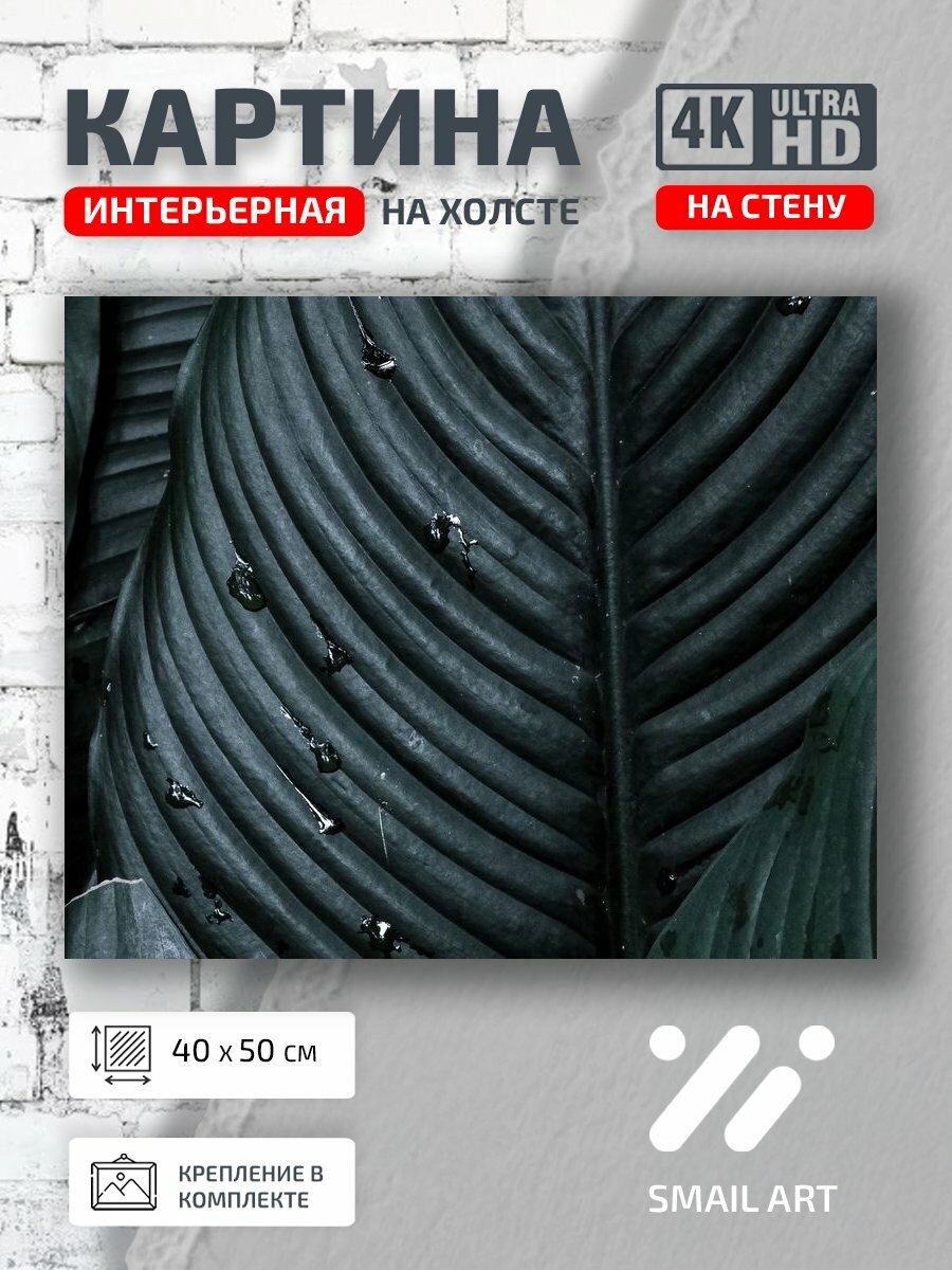 Картина на холсте интерьерная 40 на 50 на стену Капли Macro для студии макро интерьер декор