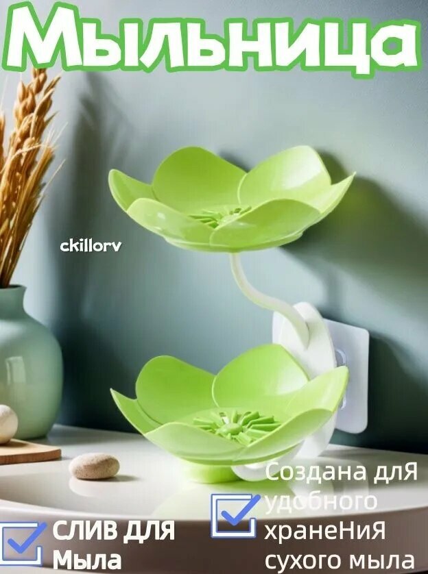 Мыльница