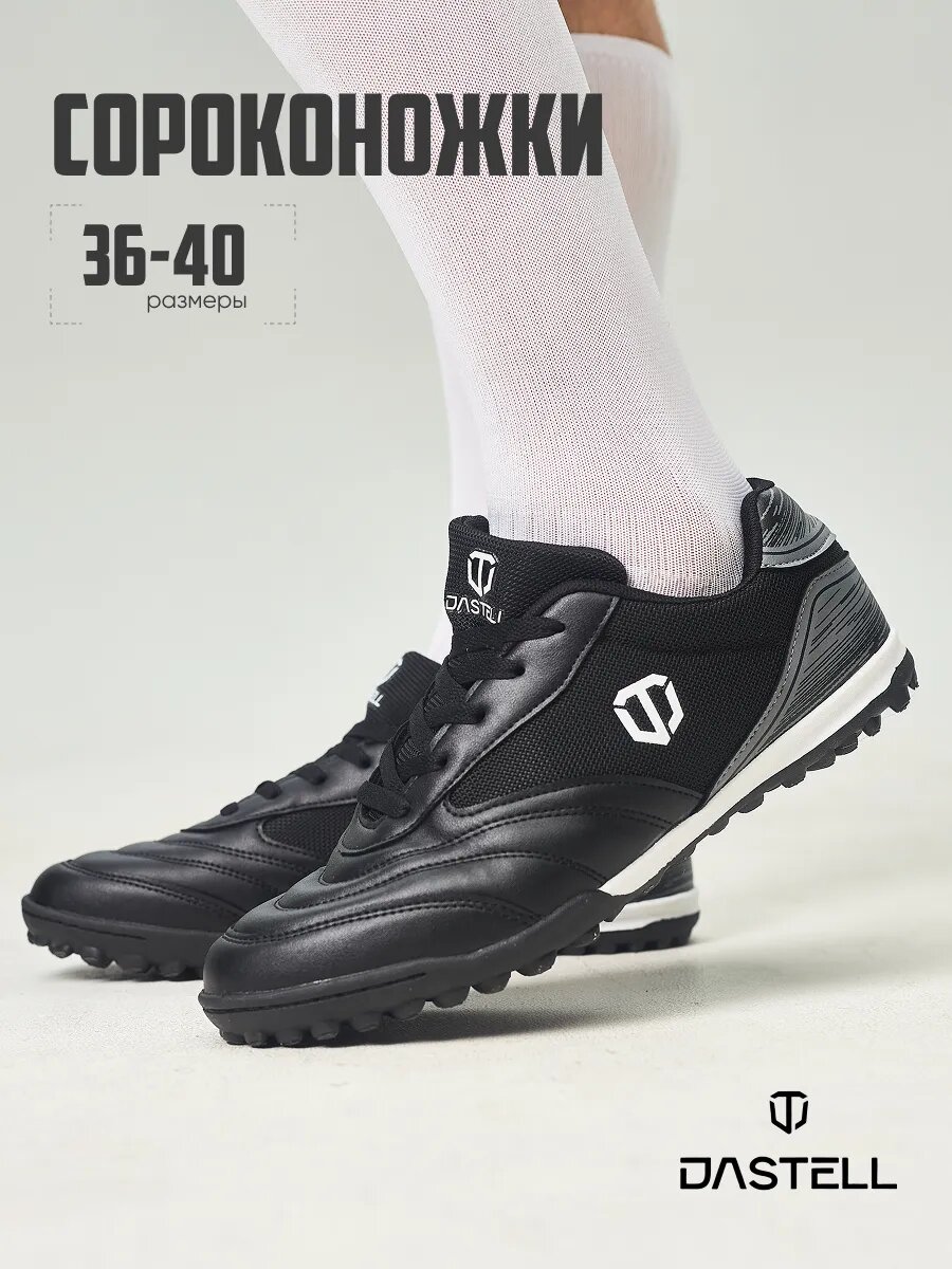 Сороконожки