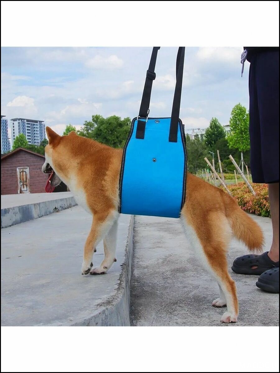 2025 Ходунки для собак, поддержка задних лап пожилых и травмированных собак, поддерживающая шлейка