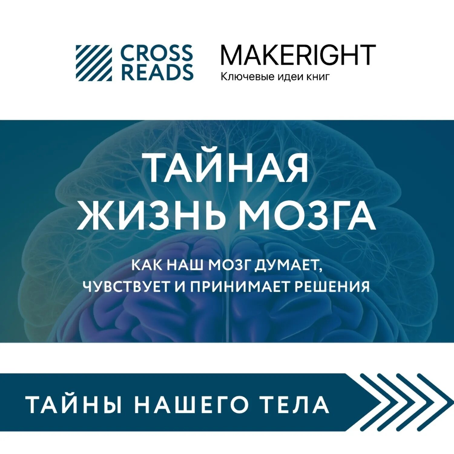 Саммари книги «Тайная жизнь мозга. Как наш мозг думает, чувствует и принимает решения» [Аудиокнига]