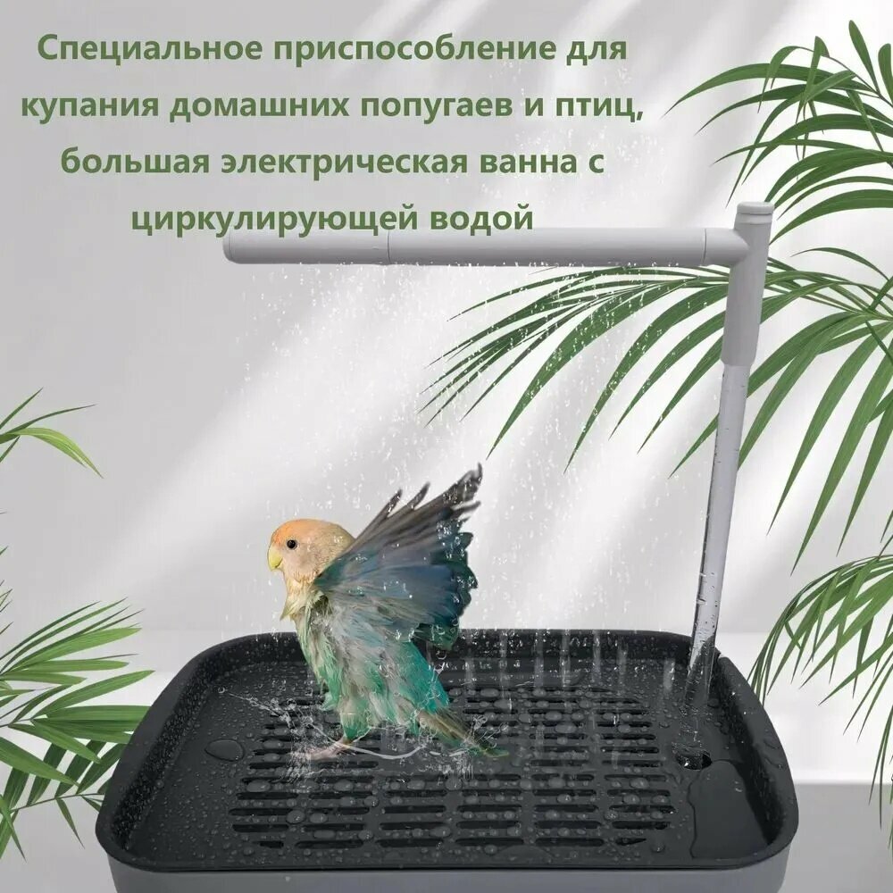 Душ для попугая-Специальное приспособление для купания домашних попугаев и птиц, Бесшумный, Регулируемая скорость потока-маленький