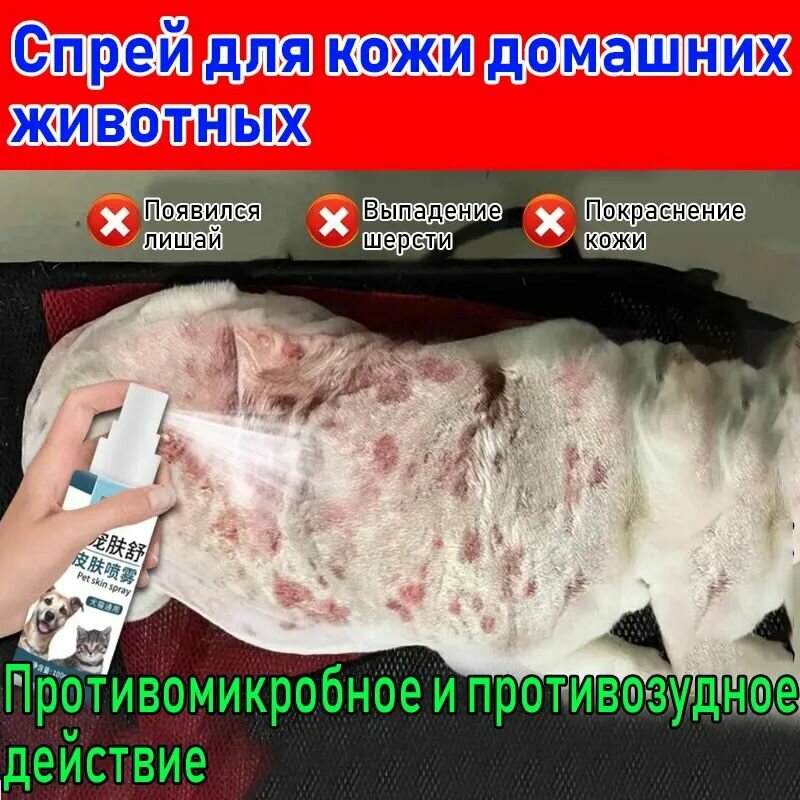 Быстродействующий спрей от зуда для кошек и собак (при экземе, дерматите, аллергии) 100 мл